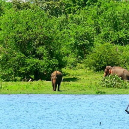 3 Days Sri Lanka Tour Package [Zinnia] | Lanka Tour Experts