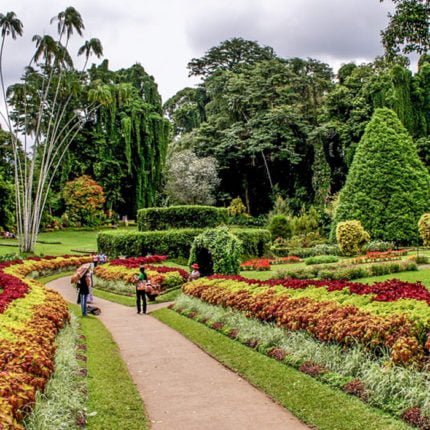 Sri Lanka Day Tour Packages | Lanka Tour Experts