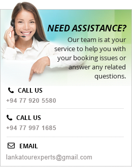 Yala Season and Maha Season in Sri Lanka |Lanka Tour Experts